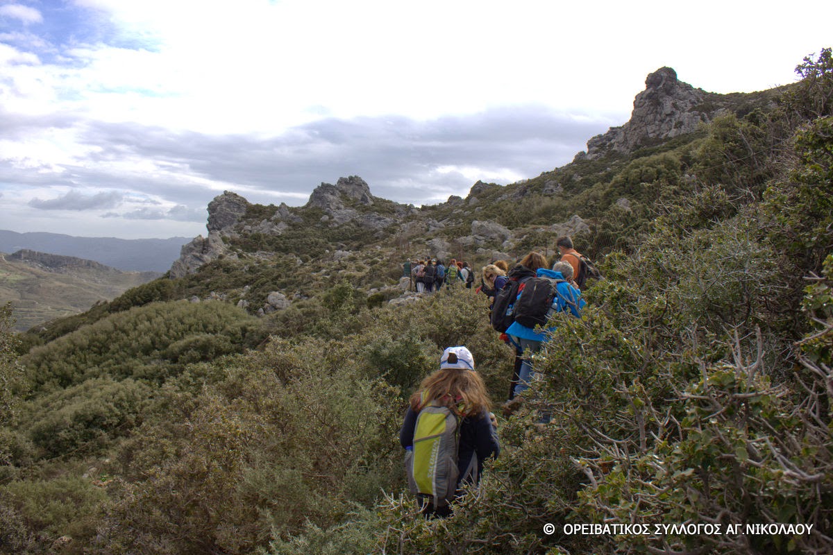 EXPLORE MOUNTAINS: ΜΟΝΟΠΑΤΙ Ε4 ΔΑΦΝΗ-ΠΕΥΚΟΙ ΣΤΗΝ ΣΗΤΕΙΑ
