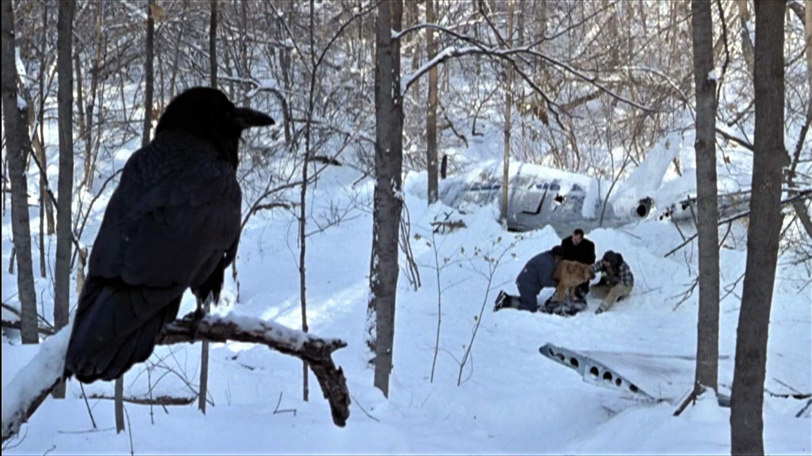 DREAMS ARE WHAT LE CINEMA IS FOR...: A SIMPLE PLAN 1998