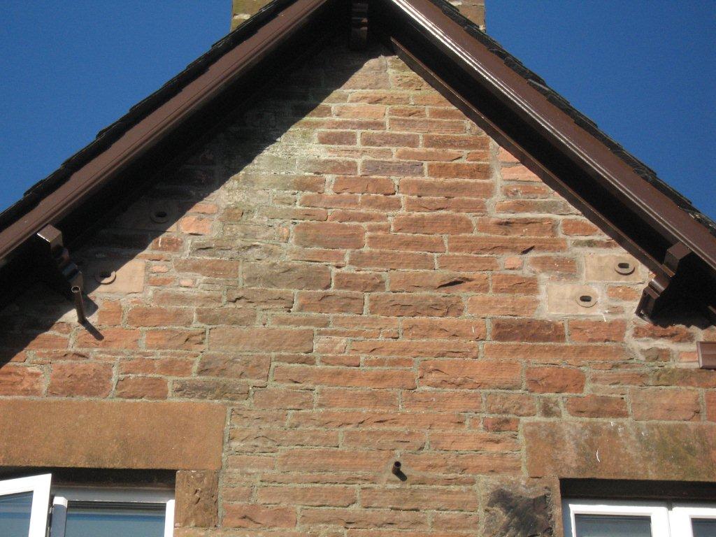 Action for Swifts: Swift's nest in a cramped roof space