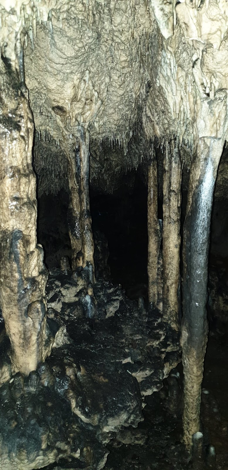 Pasionati de frumos !: Cheile Șugău - Peștera Tunel - Peștera Munticelu ...