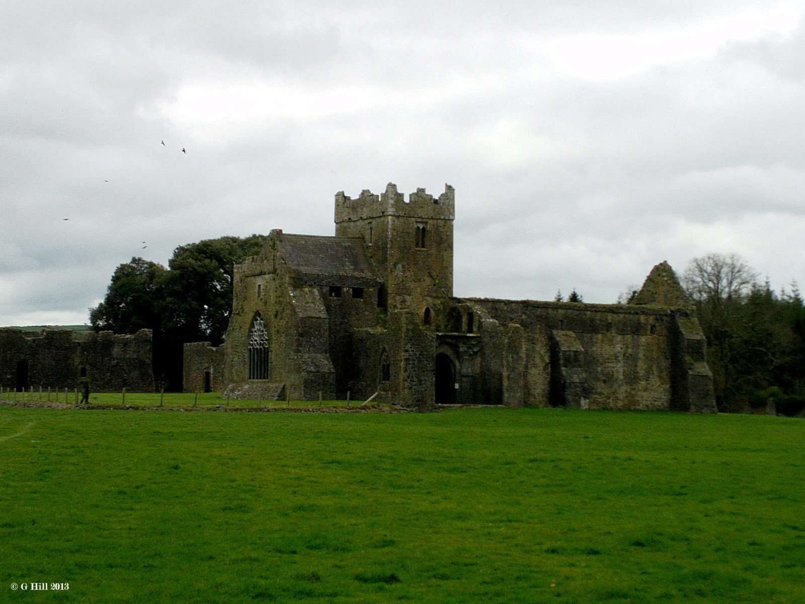 Ireland In Ruins: Kilcooley Abbey Co Tipperary