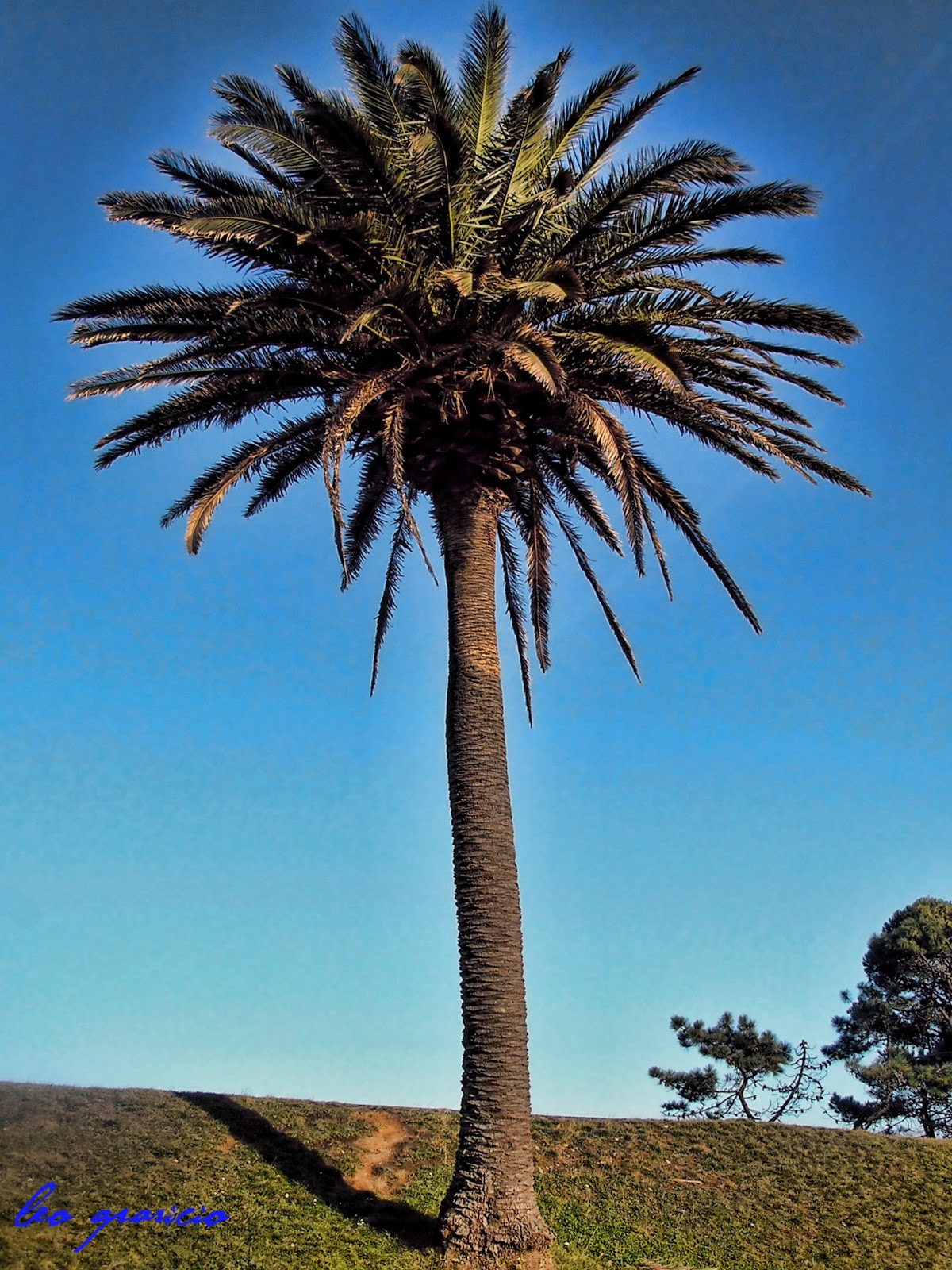 MI AULA: Ciencias Sociales y Matemática - Flora y Fauna de la Región ...