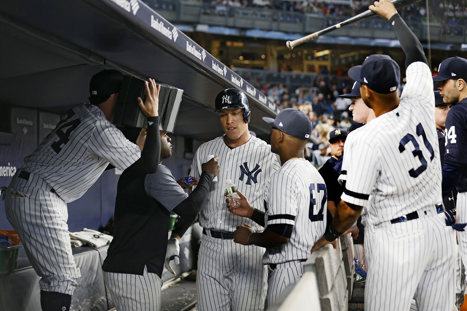 the joy of sox: A 2017 Meme: "These Yankees Are So Easy To Like"