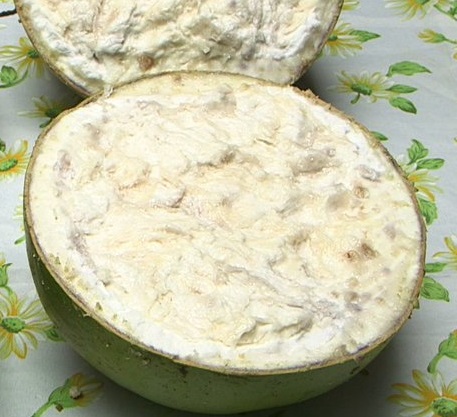 Daily Health Blogs: Calabash Miracle Fruit