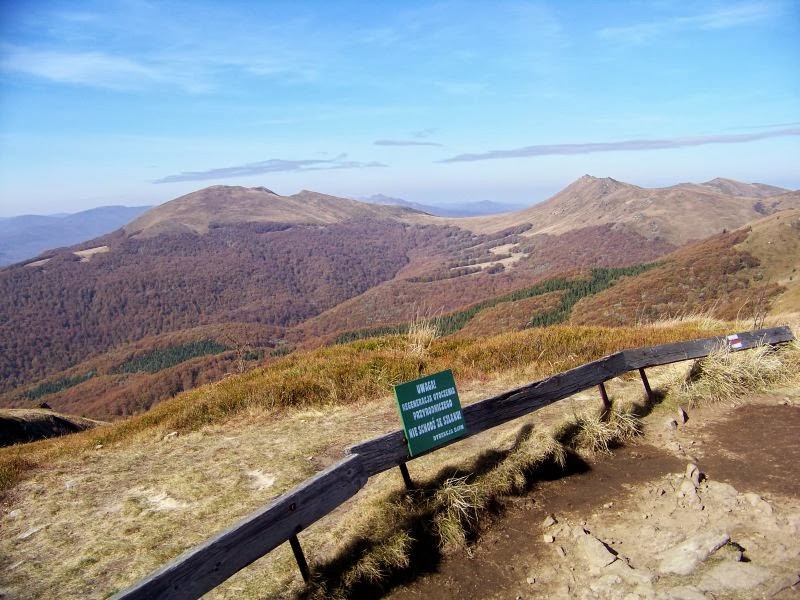 Na szlakach górskich i niegórskich: Bieszczady: Rozsypaniec, Halicz i ...