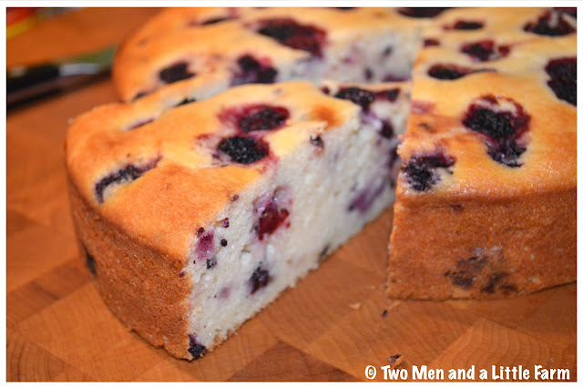 Two Men and a Little Farm: DEWBERRY CAKE RECIPE