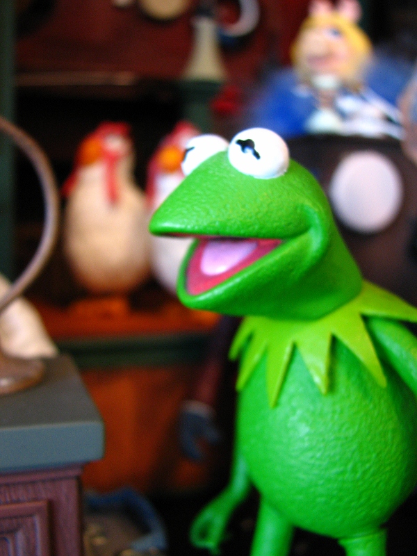 Lance Cardinal Creations: CUSTOM MUPPET FIGURE COLLECTION DISPLAY CASE