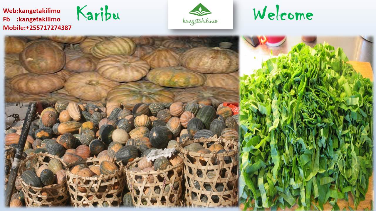 Kangetakilimo: KILIMO CHA MABOGA NA KANGETAKILIMO