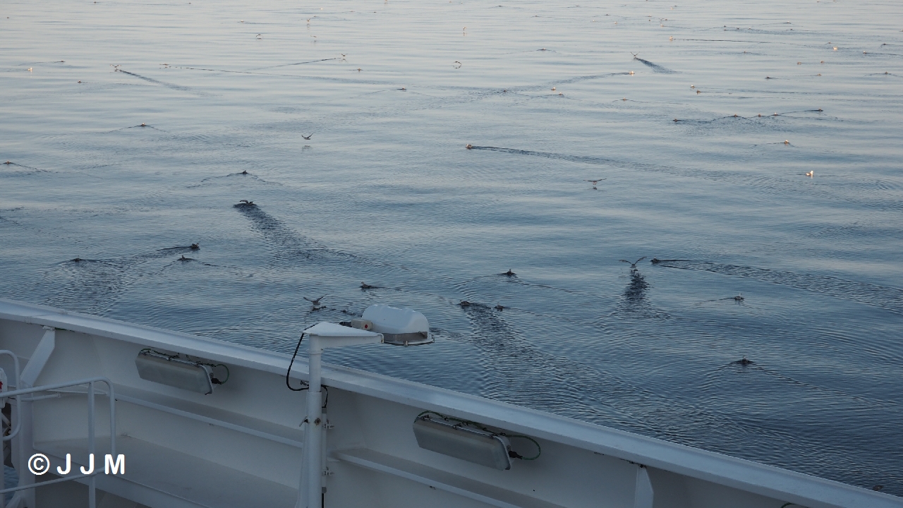 VOYAGES de NM et JJM: LA BALADE DE L'OURS