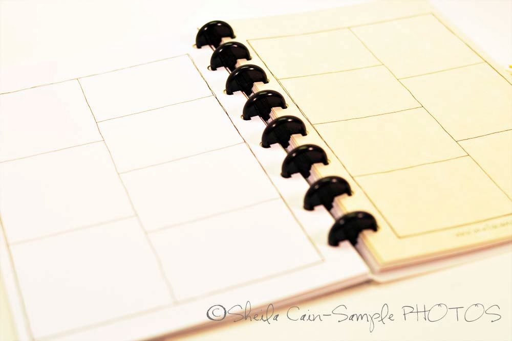 Sheila Cain-Sample: CALENDARS & JOURNALS