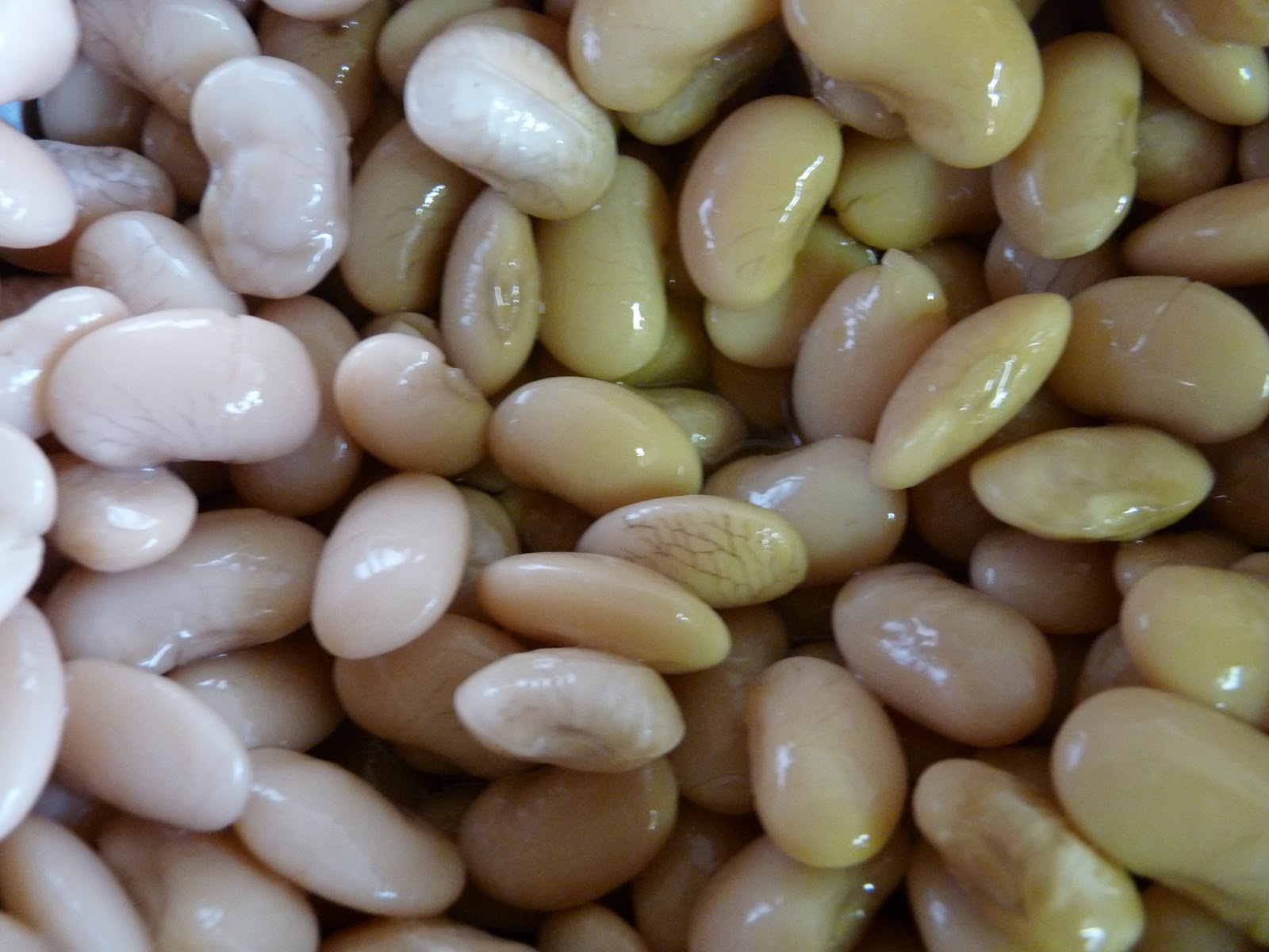 Hahkija kuvat: Papuja siellä, papuja täällä!