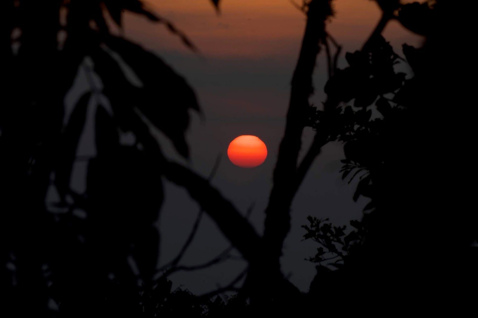 Jan Axel's Blog: February 2019