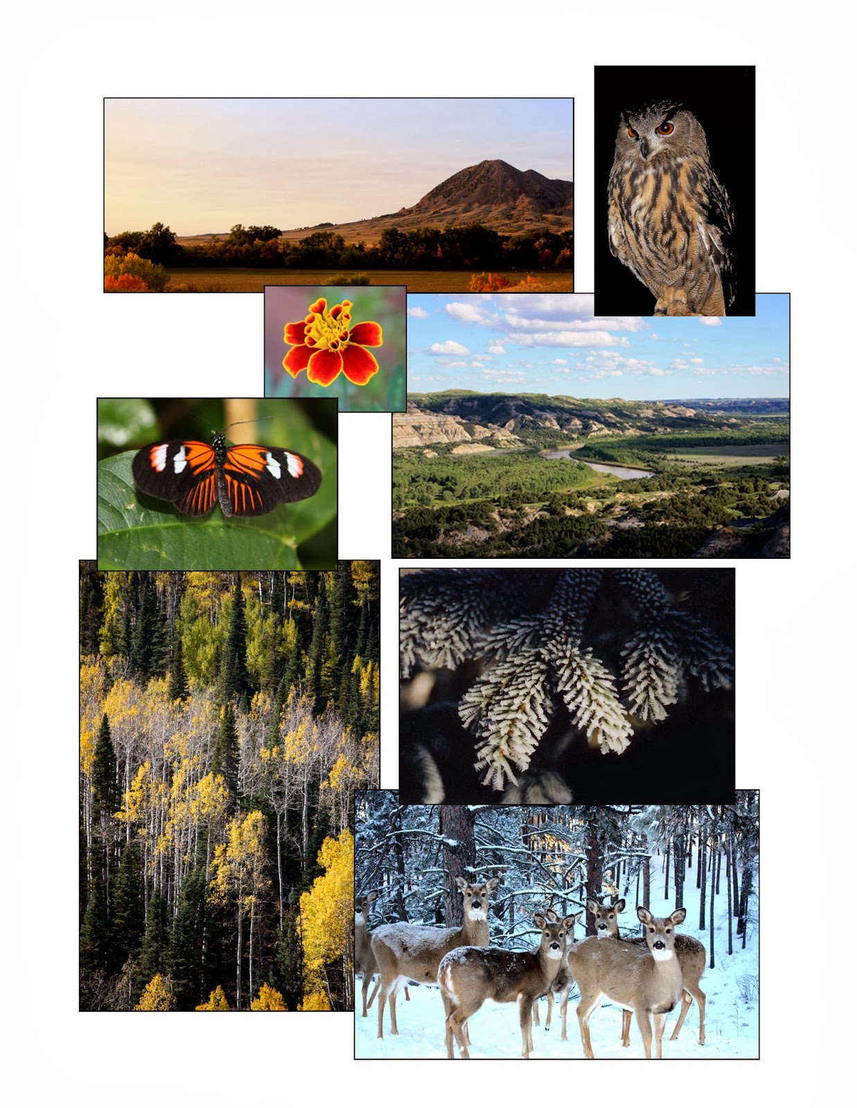 Killer Crafts & Crafty Killers: CRAFTS WITH ANASTASIA--PHOTO COLLAGE ...