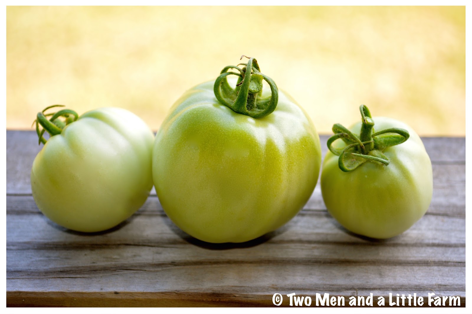 HOw To USES FOR GREEN TOMATOES