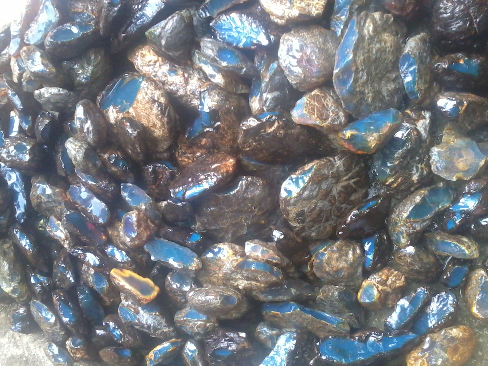 Taller De Ambar San Jose