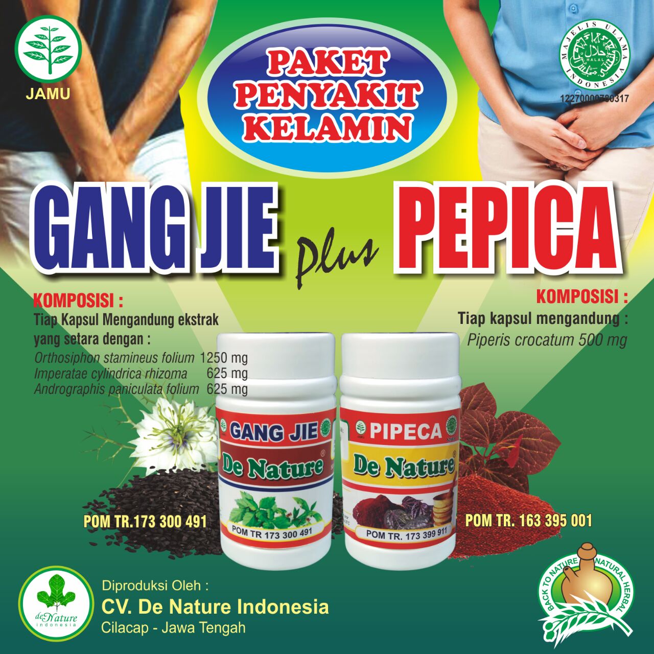 Cara Alami Mengobati Penyakit Sipilis (Raja Singa)