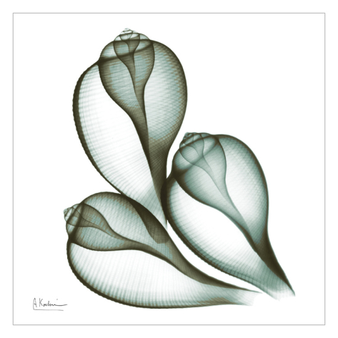 .: Albert Koetsier Beyond Light