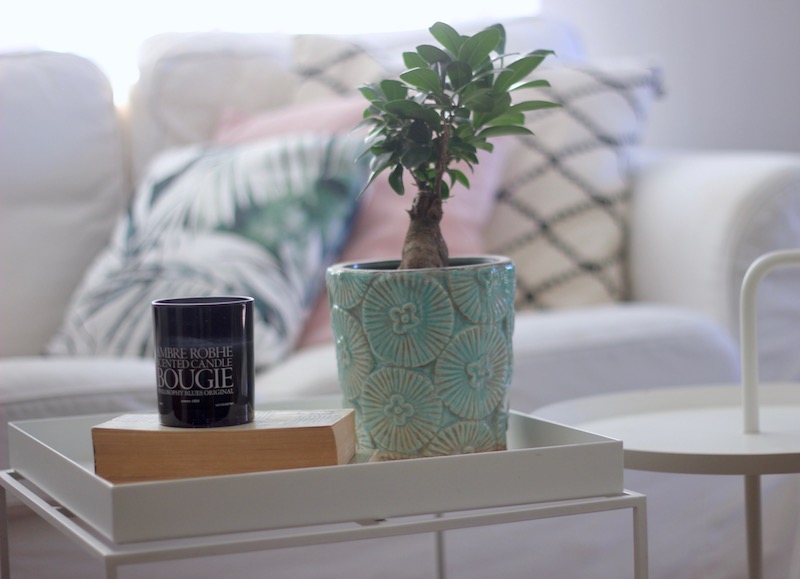 VIIKUNAPUU | Sara S.