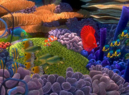 Fondos de pantalla nemo con movimiento - Imagui