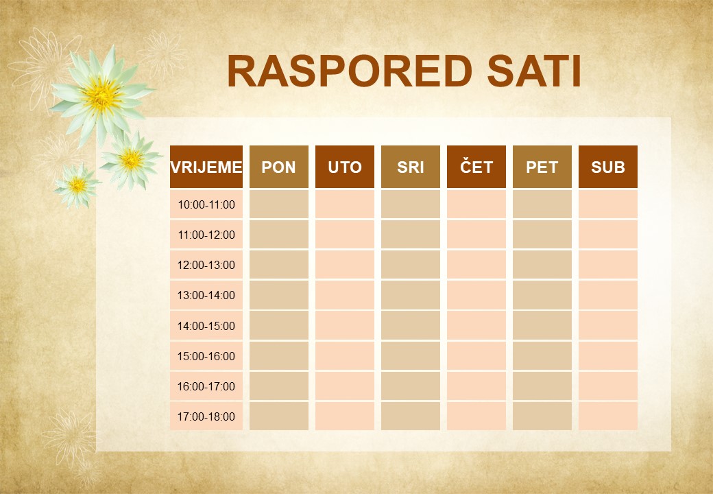 RASPORED SATI POWER POINT