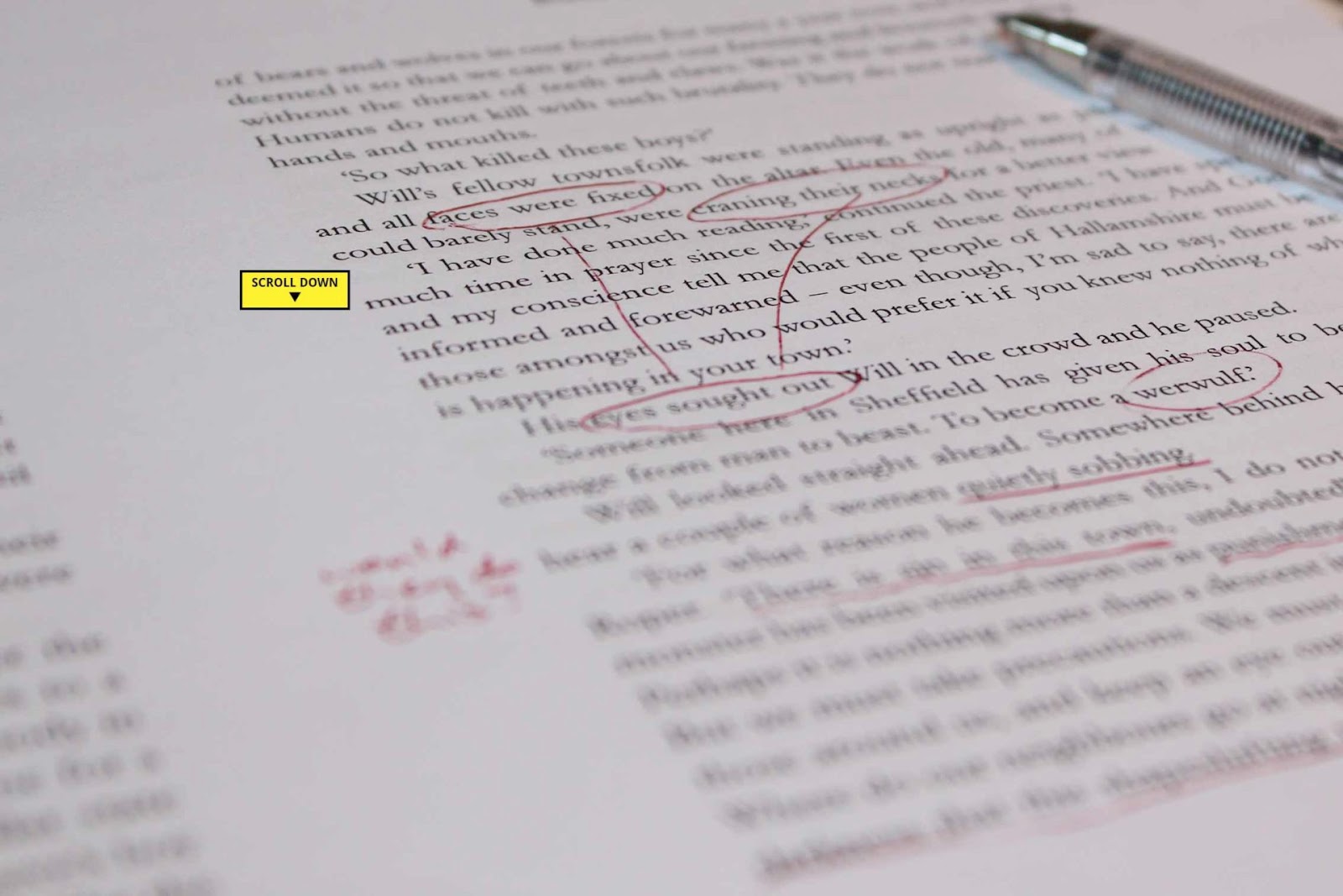 How to read like a writer - Top Tips from Rufus Purdy at Write Here