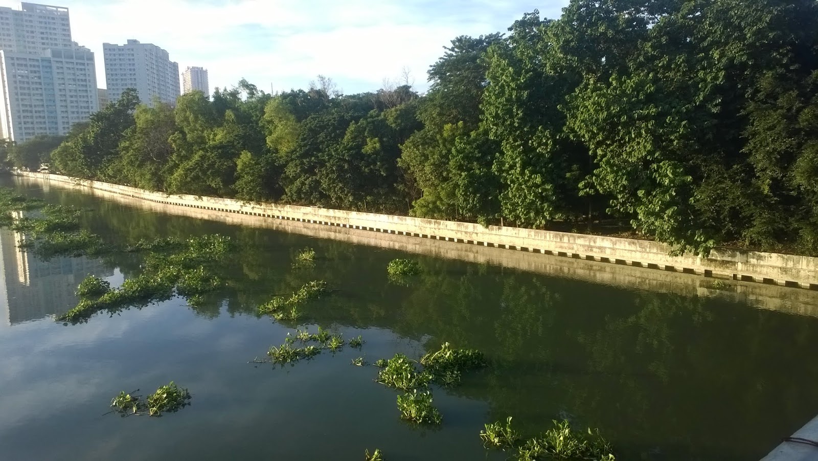 Save the Philippine Nature and Environment Starting with Pasig River ...