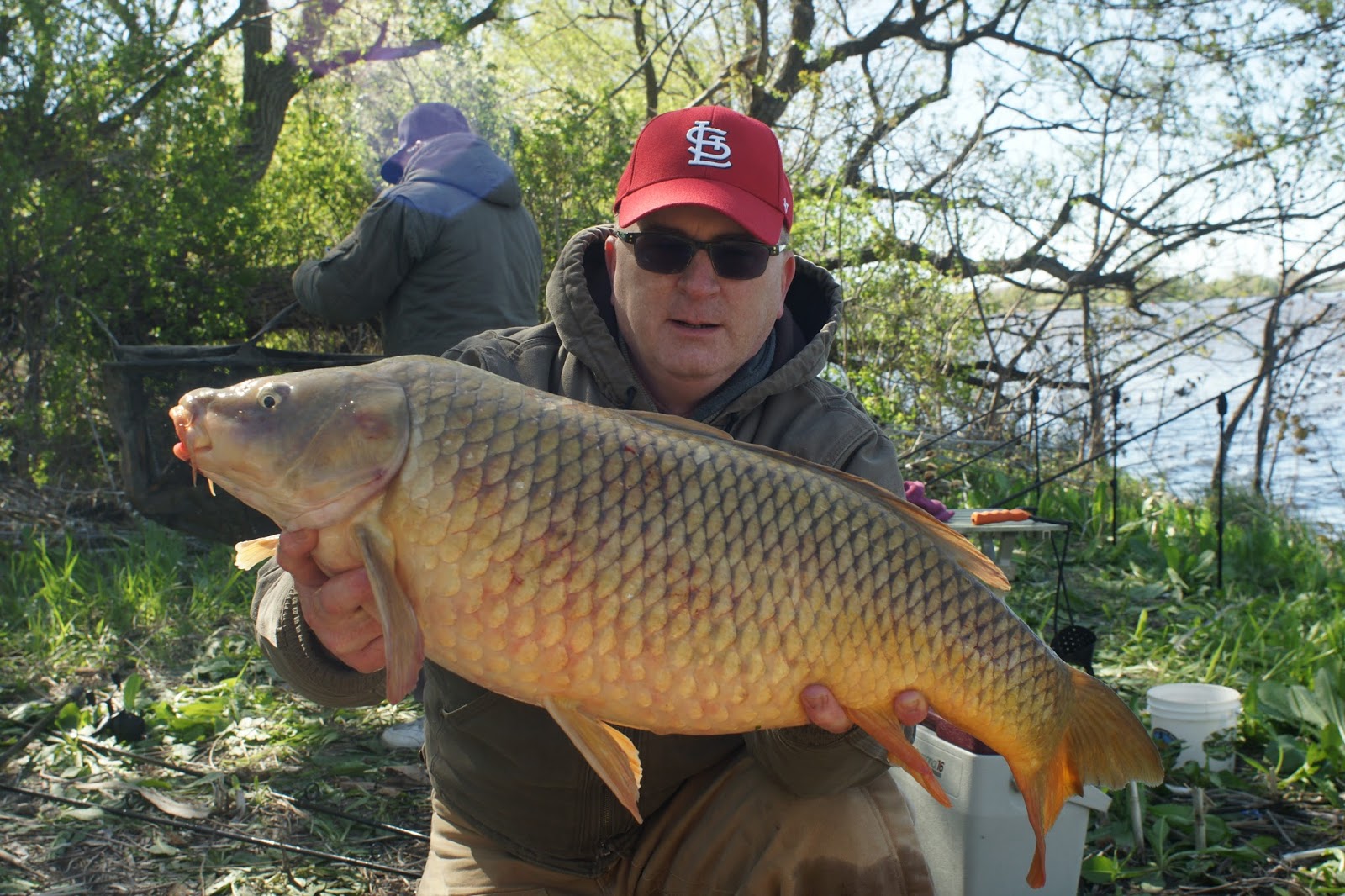 Michigan Carp Fishing Blog: Bay City