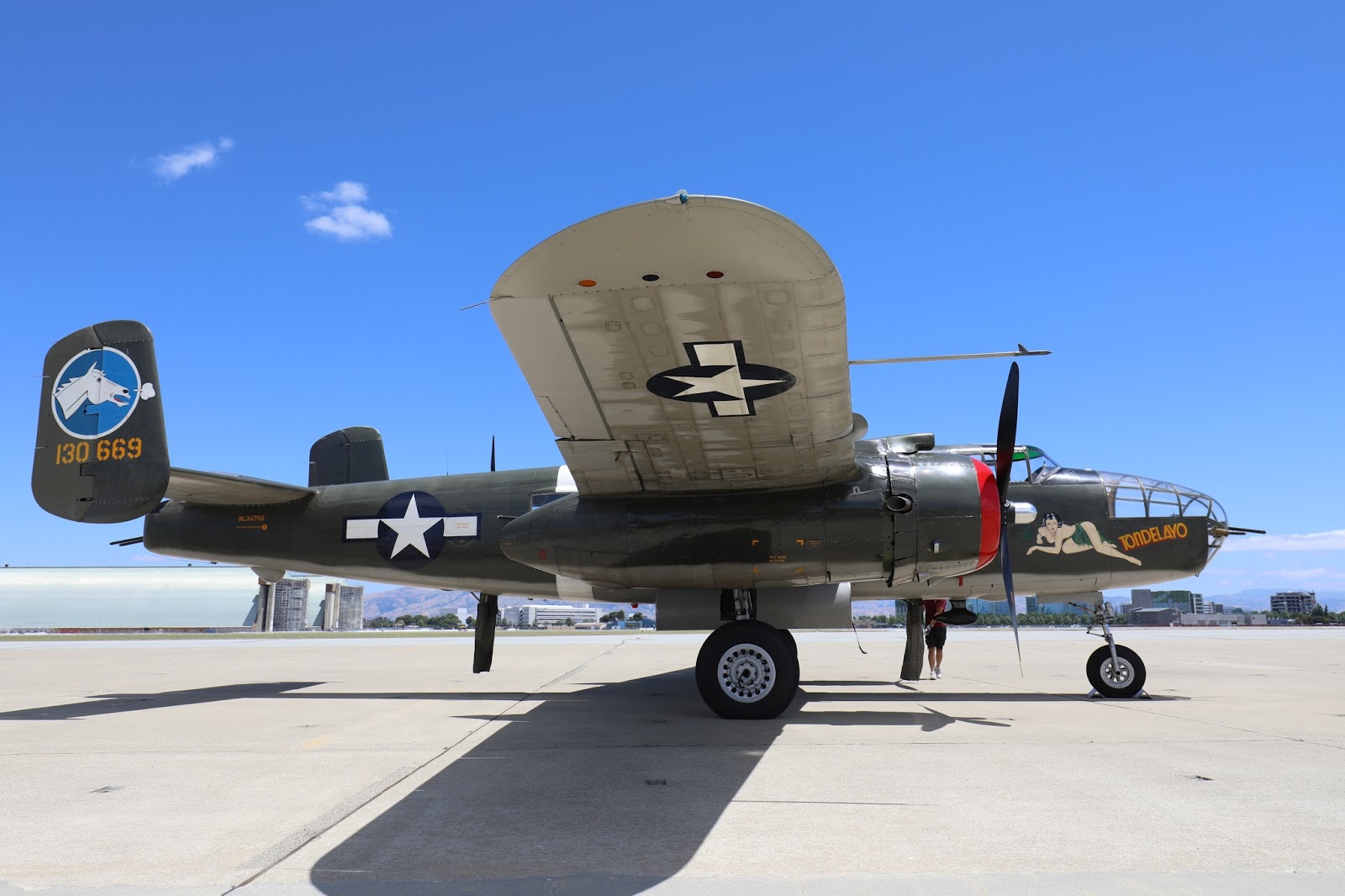 WWII Aircraft Wings of Freedom