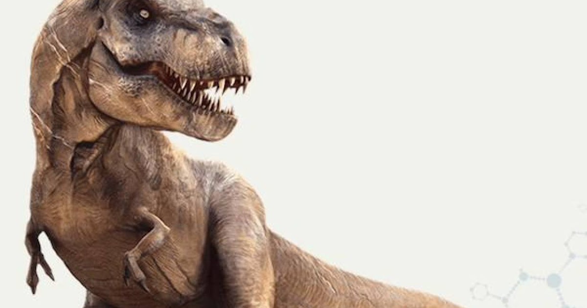 Fundacion Dinosaurios Cyl: La historia de los dinosaurios se reescribe