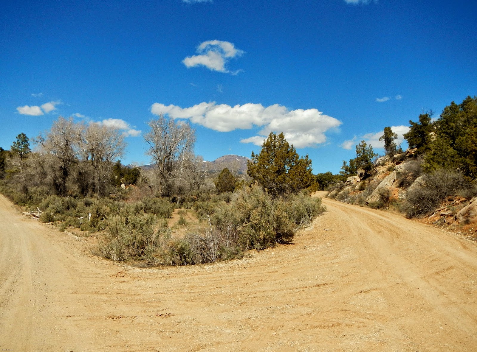 The Southwest Through Wide Brown Eyes: Recapture Reservoir and North.