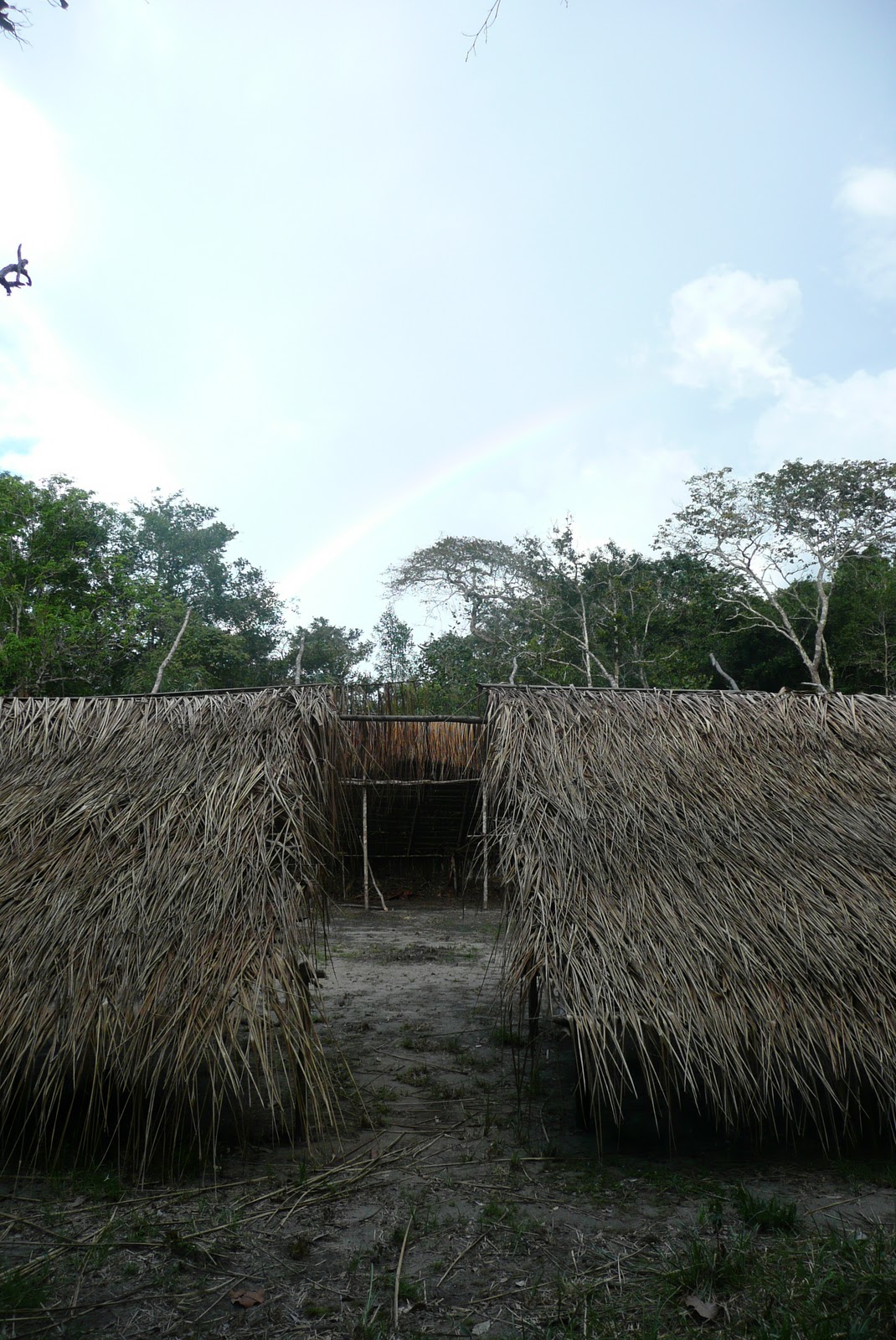 ARQUITECTURA INDÍGENA: CONSTRUCCION DE UN SHABONO YANOMAMI or "Making ...