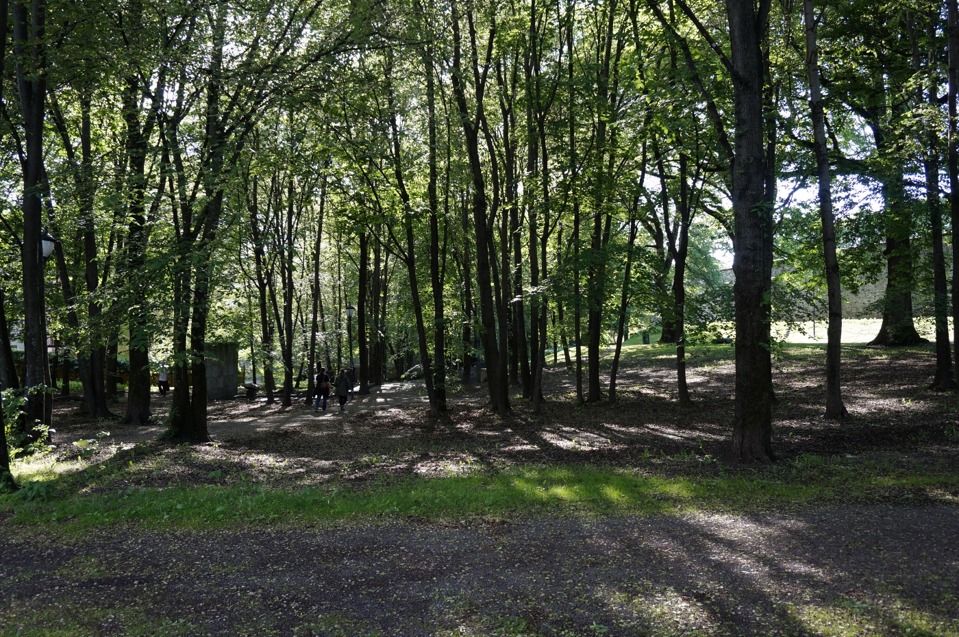 Micro 4/3rds Photography: Sony NEX-3N vs Lumix GF3