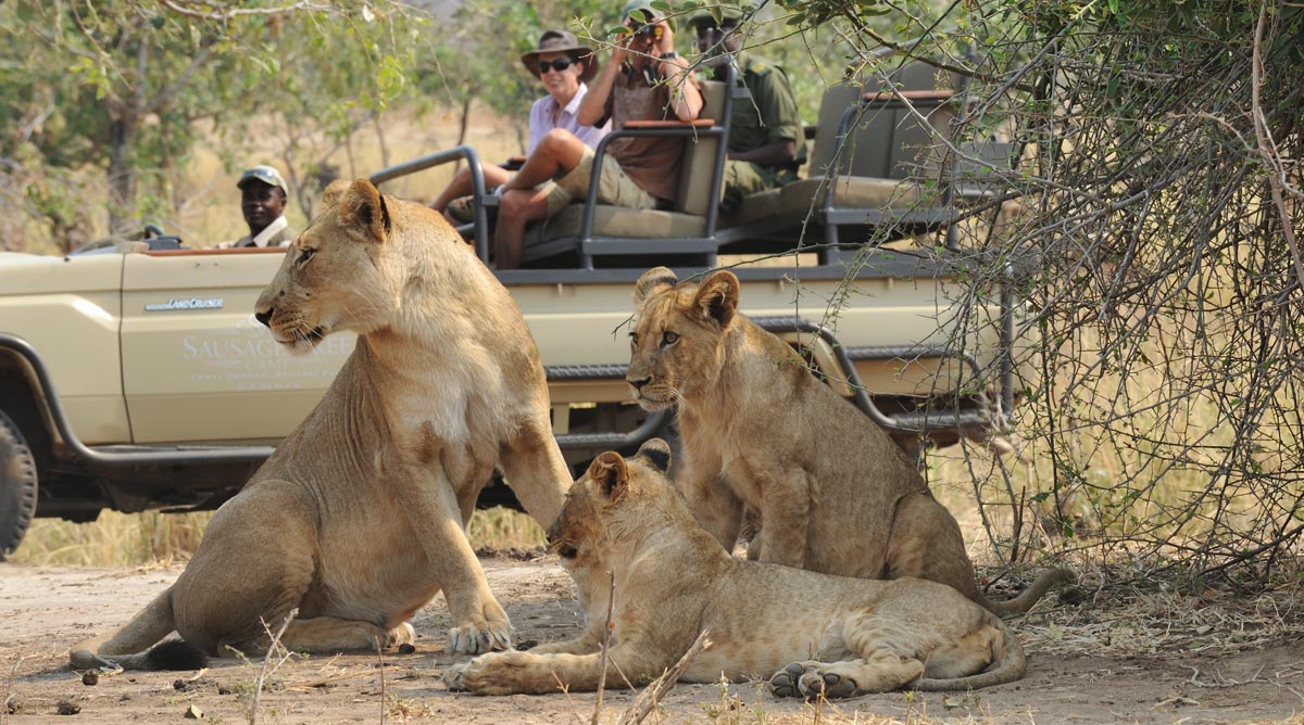 1 YEAR SAFARI RANGER PROGRAM: The career opportunity of a lifetime...!!!
