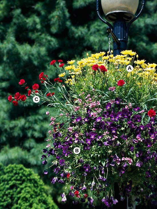 New Home Interior Design: Create Stunning Hanging Baskets