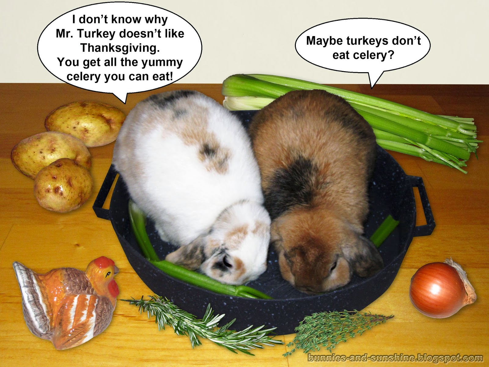 Bunnies and Sunshine: Hoppy Thanksgiving!