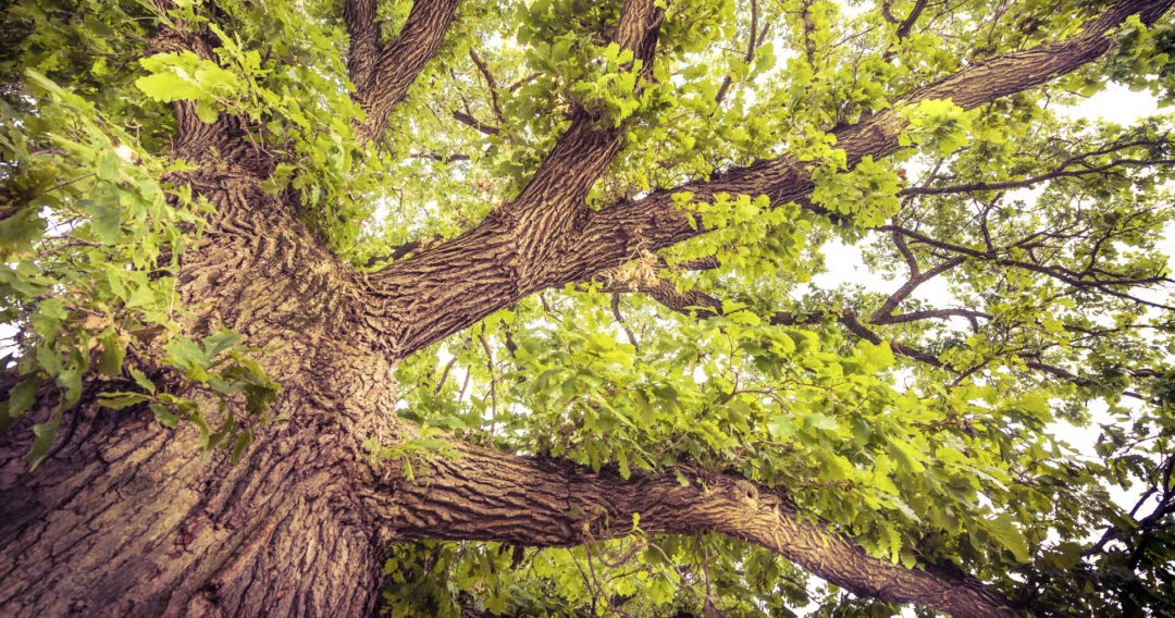 K's Photography: Mark Hirsch