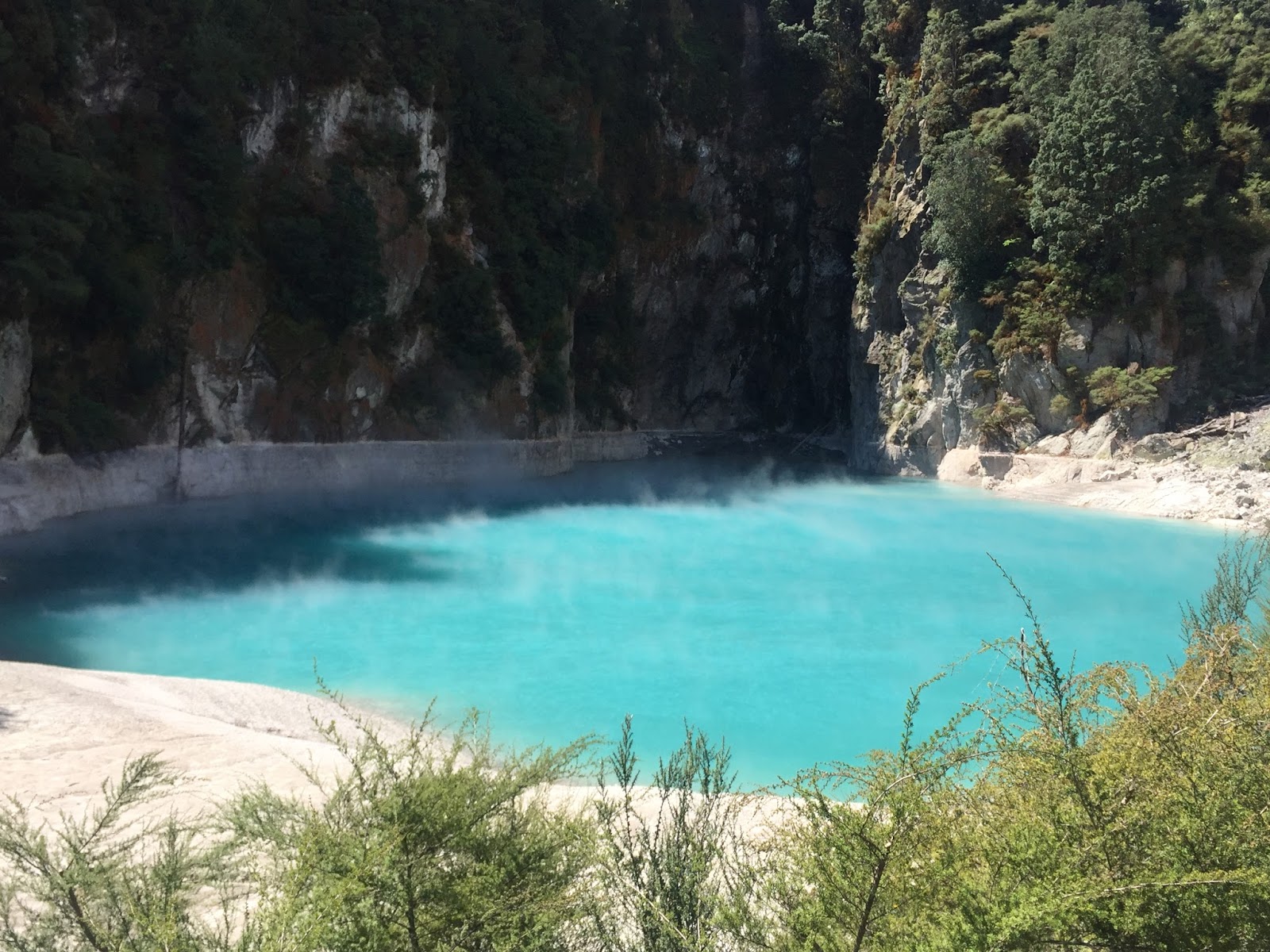 Travels and Birds: Waimangu Volcanic Valley