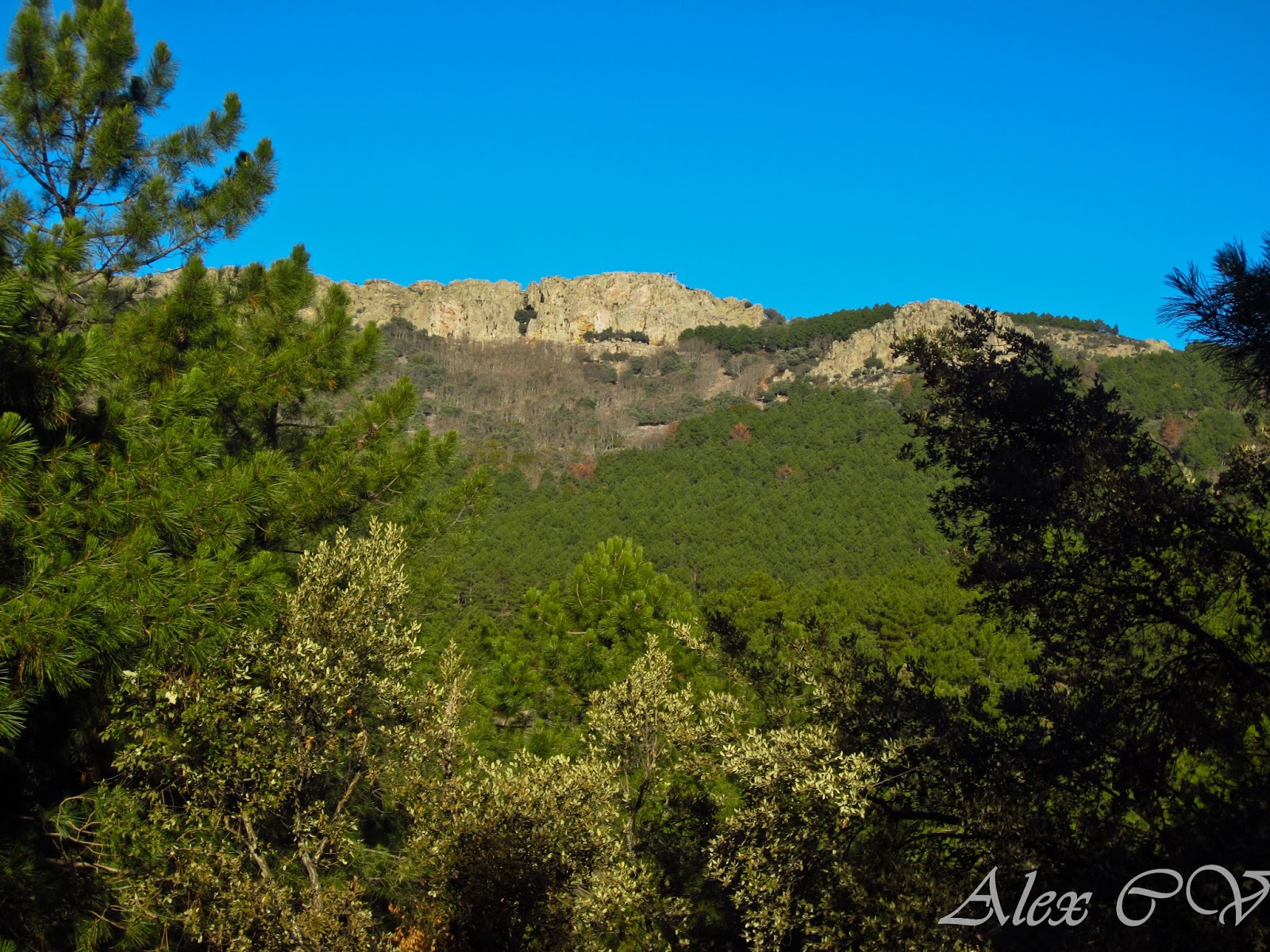 POR LOS CERROS DE ÚBEDA: PICO ESTRELLA DESDE MIRANDA DEL REY ...