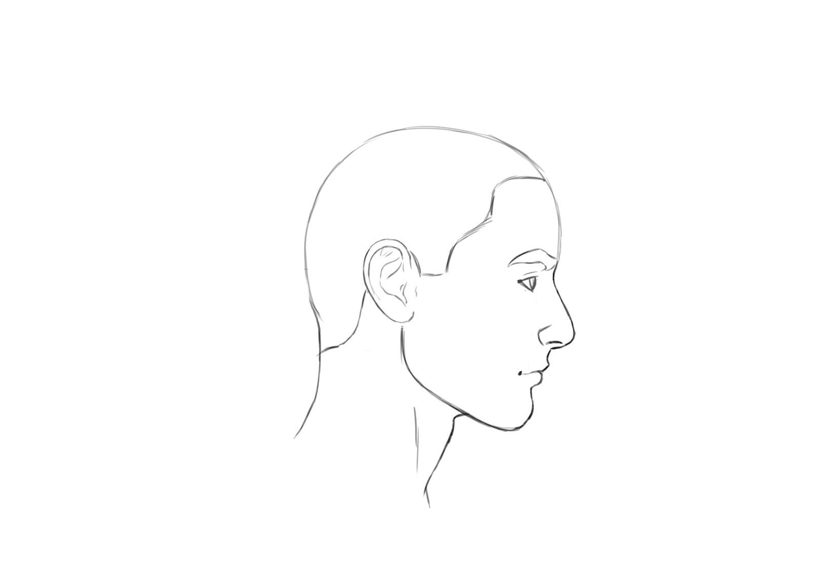 Panos Kamoulakos : ️Illustrator 💡Educator in Arts 🏫 Founder of ...