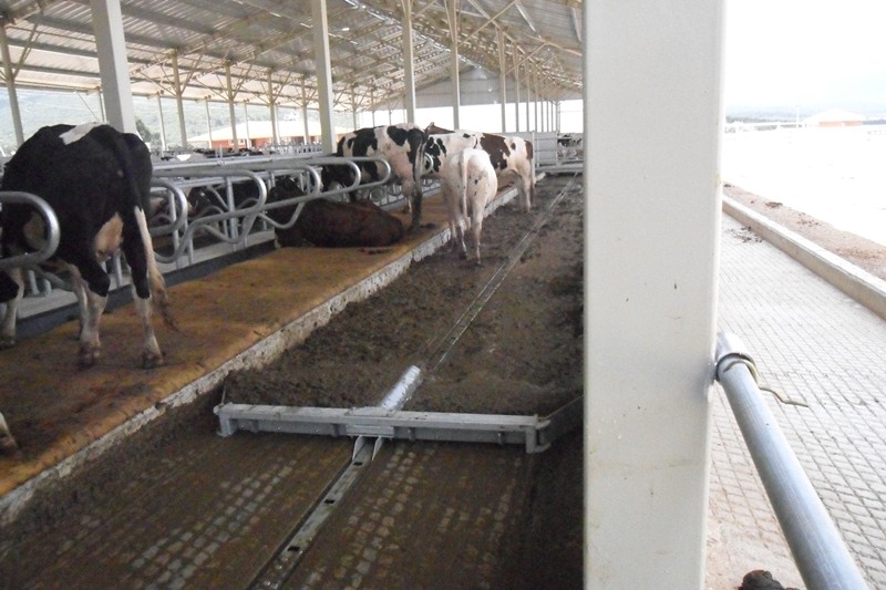 EYS Manure Separation and Composting Systems