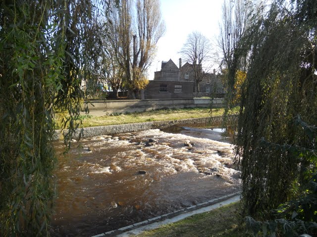 Let's Walk the River Dodder, One of the Best Hikes in Dublin