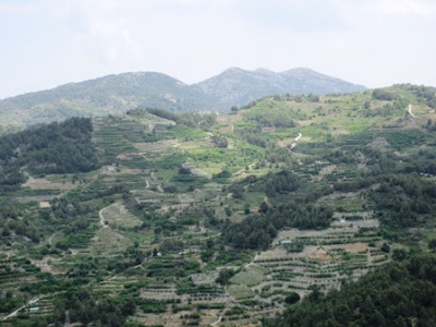 Biking in Cyprus: Climb Every Mountain.....