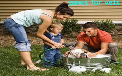 paws for vets and veterans