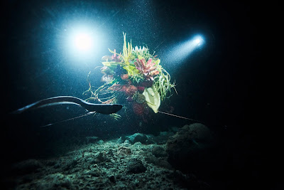 paradis express: Azuma Makoto