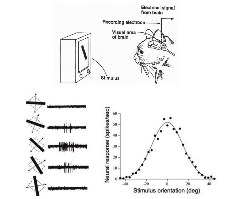 The Star Also Rises: AI 從頭學（一二）：LeNet