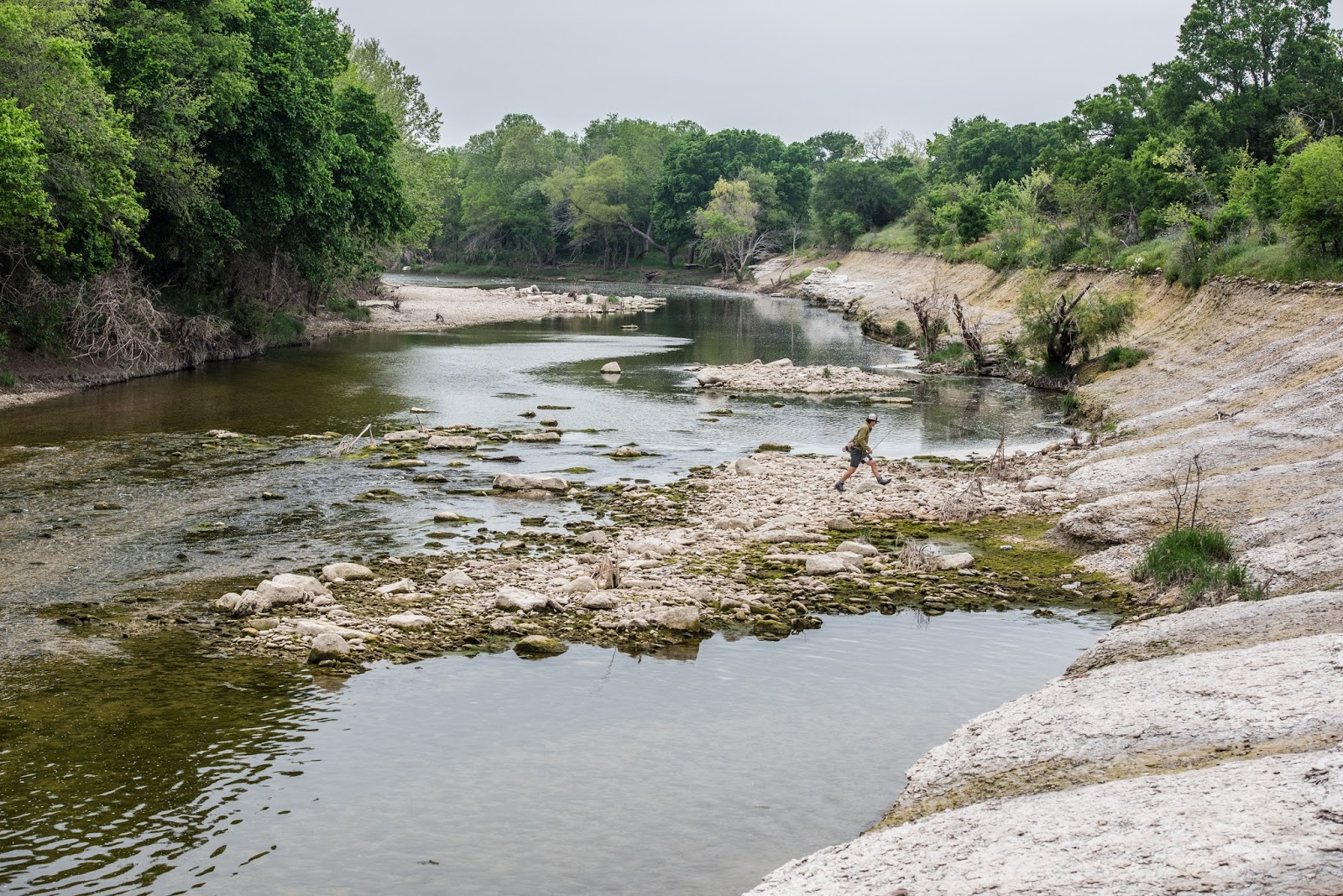 Nolan River White Bass
