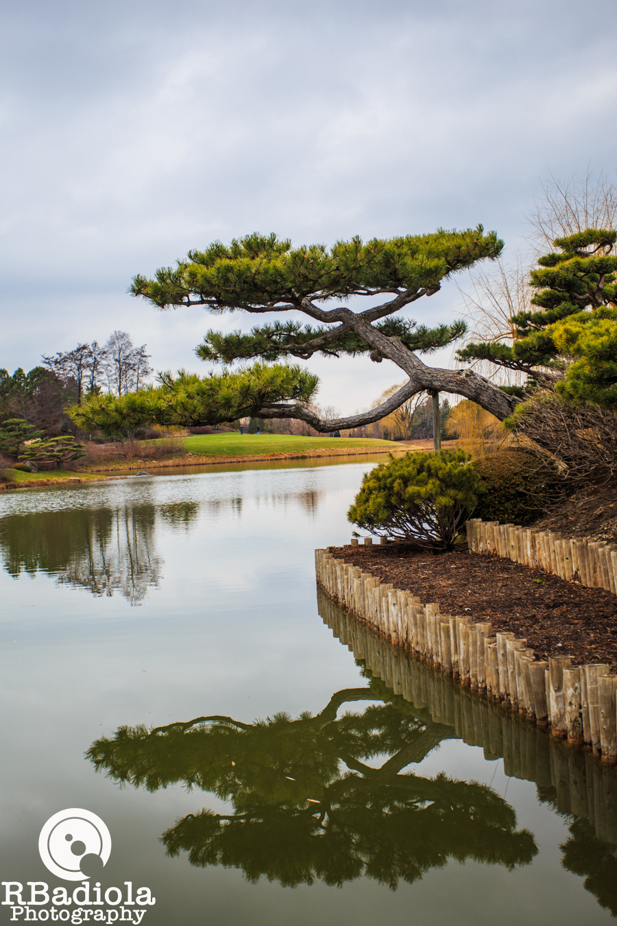 Me and my aperture: Canon 6D sample shots and Lightroom edits