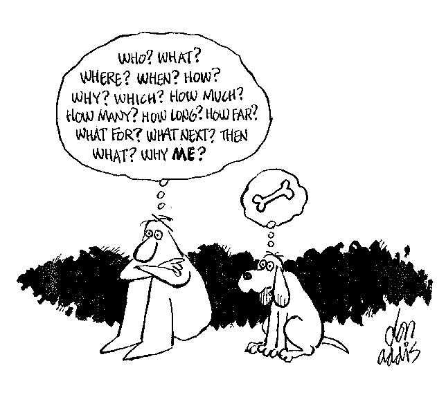 What Your Dog Is Thinking