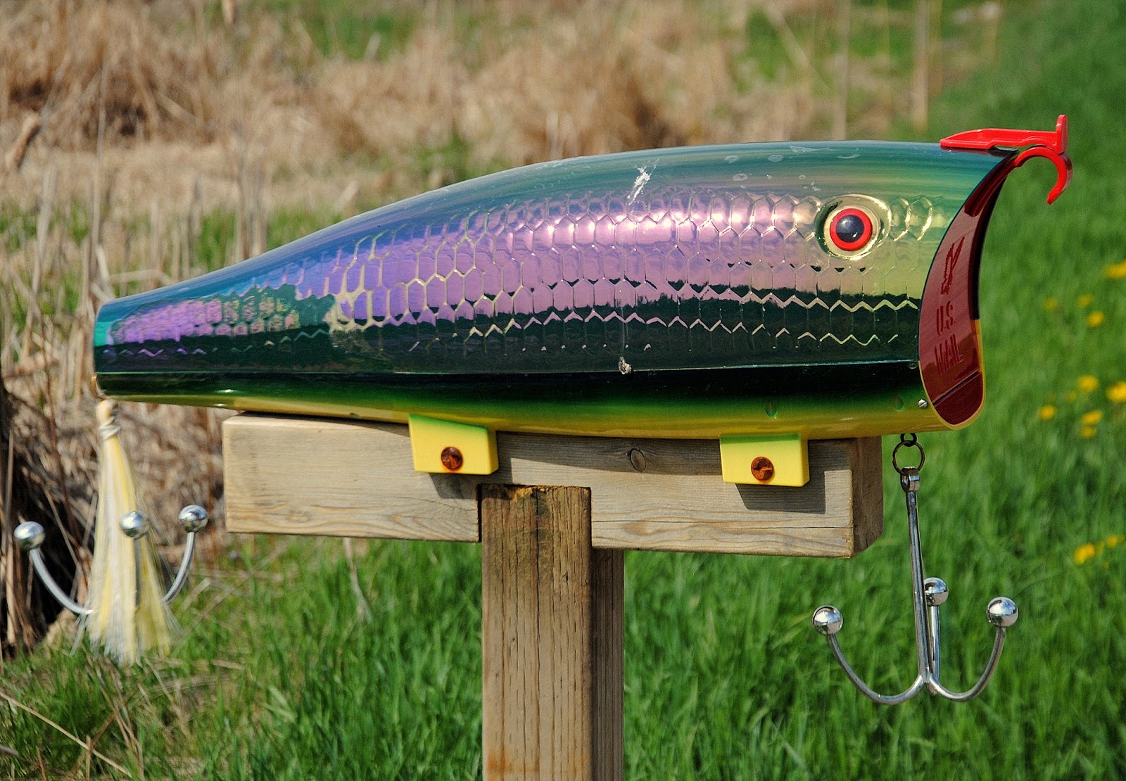 Camera on King & Aurora : Fish mailbox on the 15th Sideroad