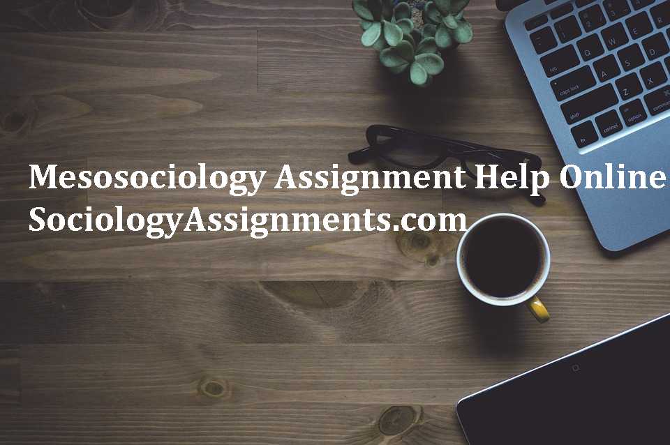 Sociology Assignment Help Online